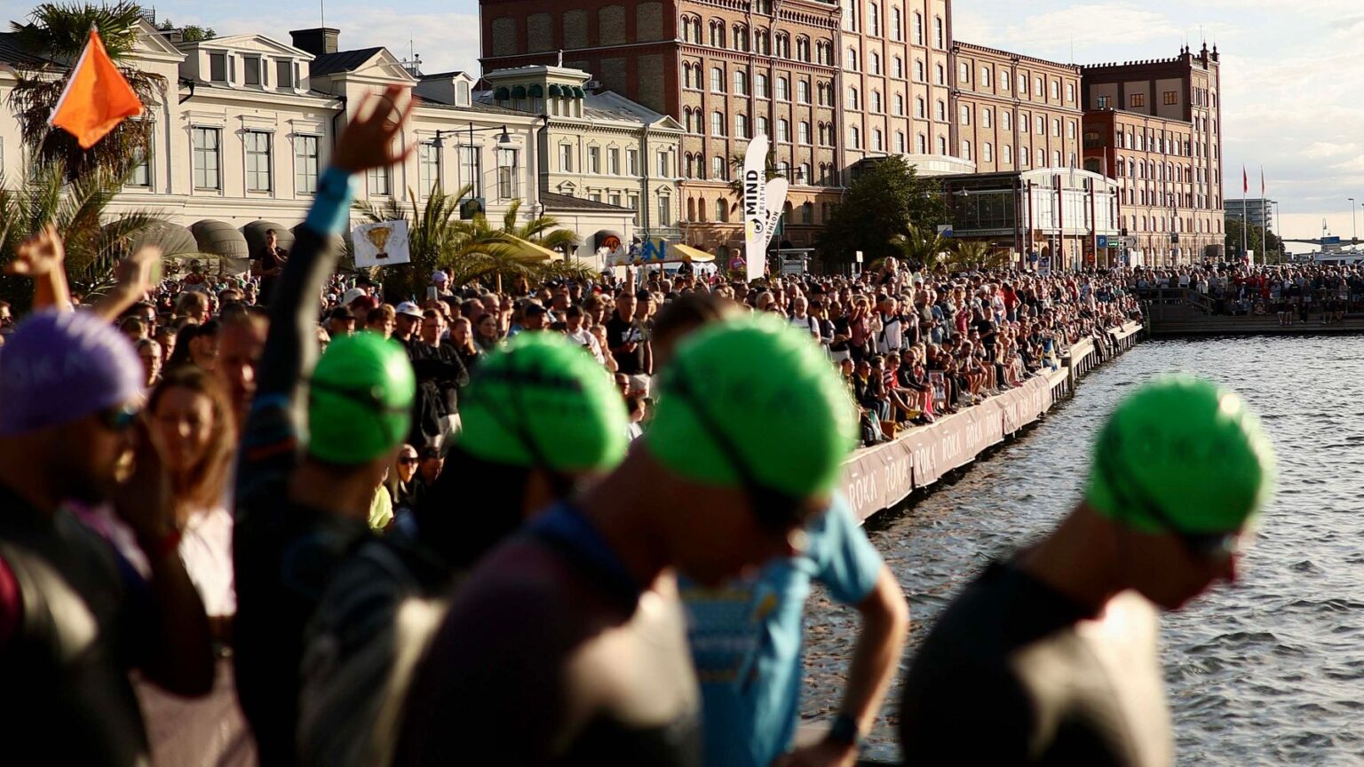 Carl Linnaeus: Father of Modern Taxonomy | Biography & Facts - Greatest ...